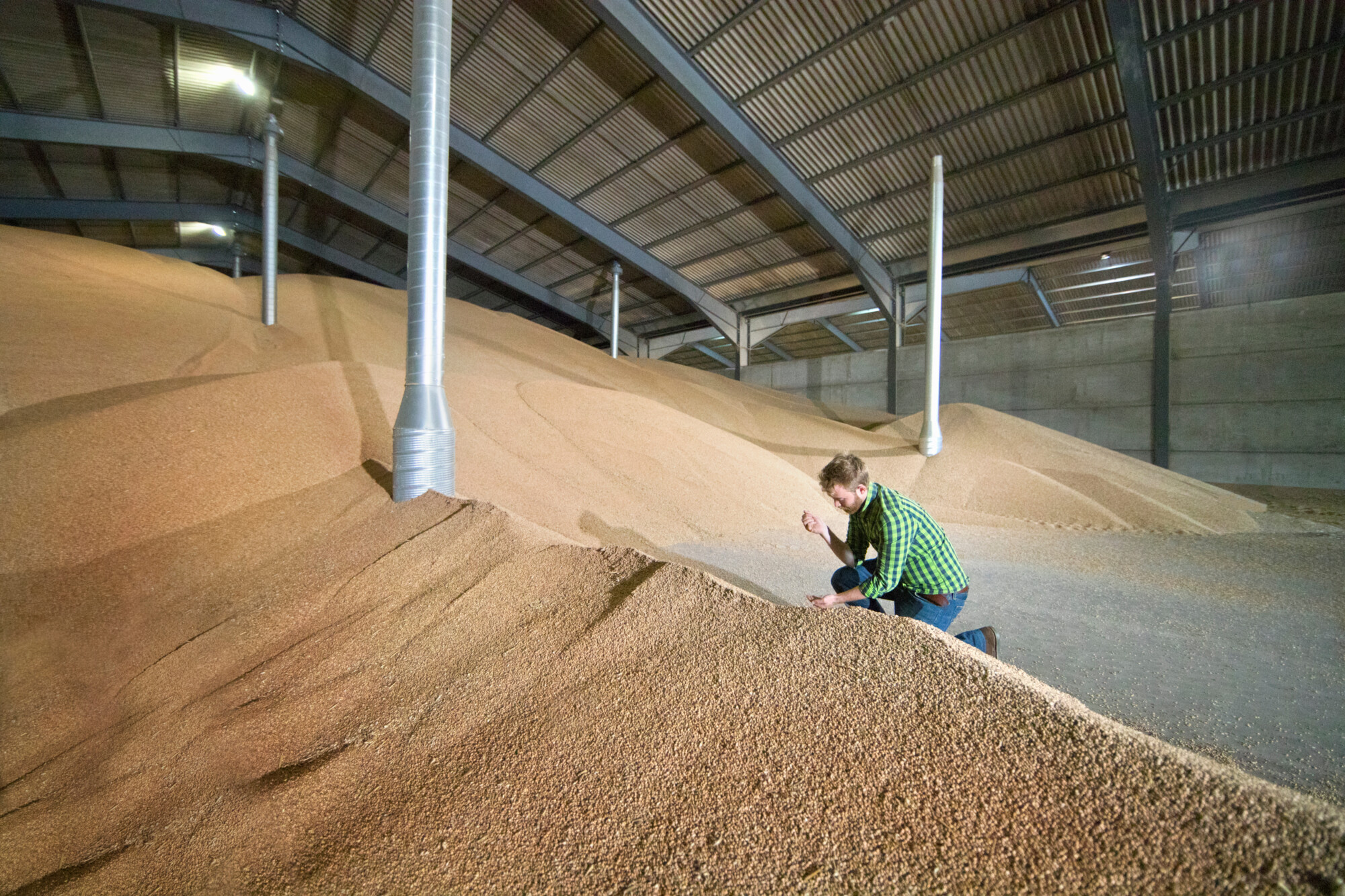 Maintaining crop quality in store | FarmAds