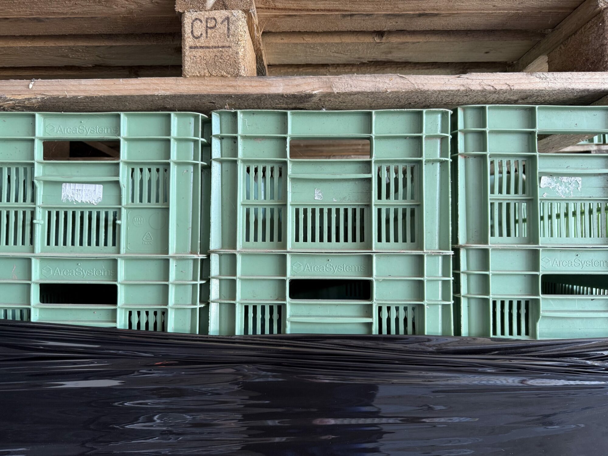 Fruit picking trays for Sale | FarmAds